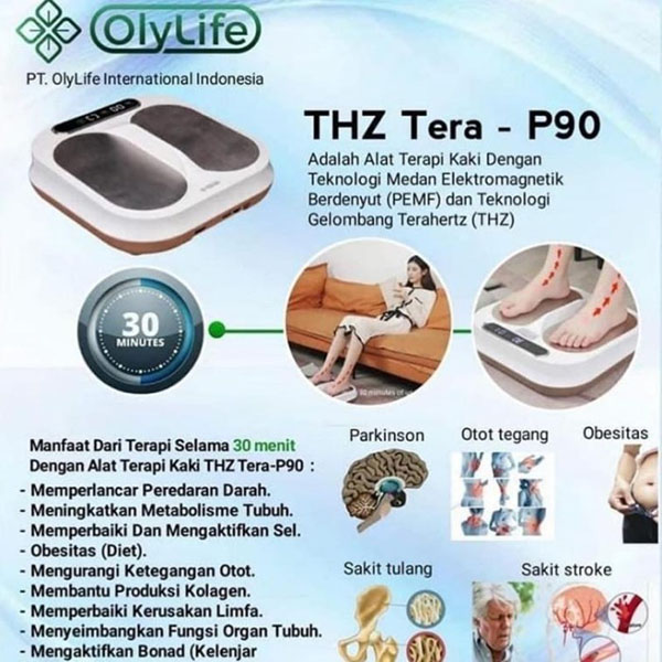 Thiết bị trị liệu từ tính OlyLife THz Tera-P90 Terahertz and PEMF ...